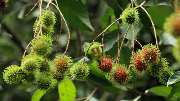 Understanding Parrot Behavior: Decoding Dominance Displays - Pet Syllabus Understanding Parrot Behavior: Decoding Dominance Displays - Pet Syllabus